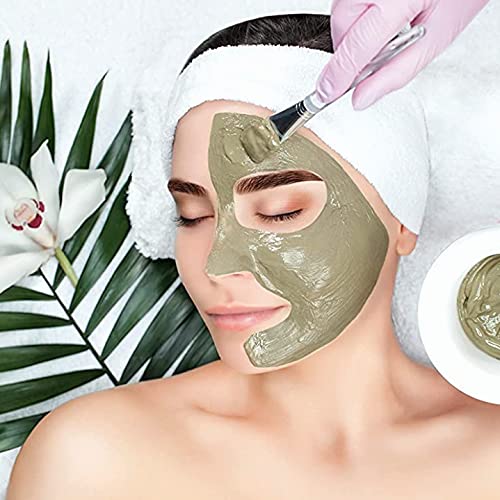 Aztec Secret Indian Healing Clay Deep Pore Cleansing, 1 Pound (Pack of 2)