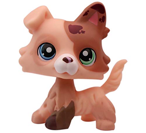 lpsloverqa Butter Collie Yellow and Brown 2 Different Eyes Erect Ears Custom Made OOAK Pets with Accessories Lot Dog Figures Collection Boys Girls Kids Gift Set (Butter Yellow)