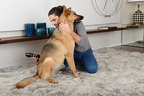 B-Cure Cold Laser Therapy Device for Dogs, Cold Vet Device for Pets & Infrared Light Therapy for Pain Relief, Muscle & Joint Pain, Suitable for Dogs, Cats, Horses and Other Animals