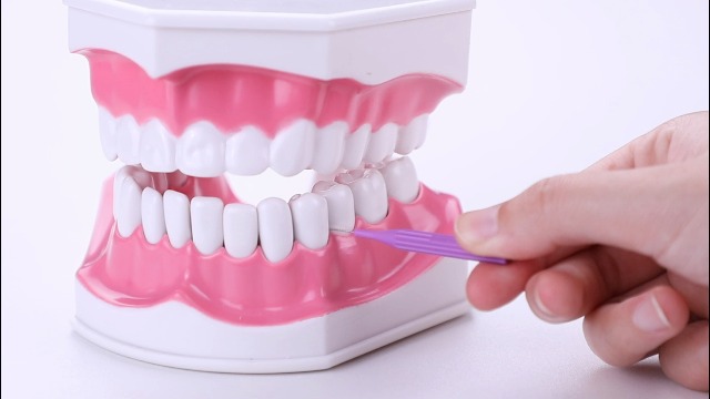 Patelai 100 Pieces Braces Brush for Cleaner Interdental Brush Toothpick Dental Flossing Head Oral Hygiene Flosser Tooth Cleaning Tool (Stylish Colors)