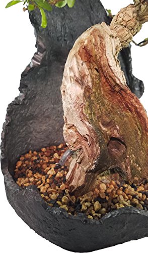 Bonsai Soil Mix - Premium Professional, All Purpose, Sifted and Ready to Use Tree Potting Blend in Easy Zip Bag - Akadama, Black Lava, Pumice & Charcoal (1.25 Quart)