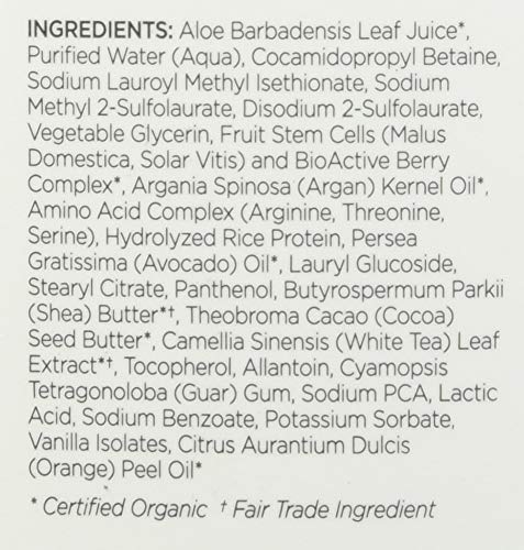 Andalou Naturals Argan Oil & Shea Moisture Rich Shampoo, Orange, 11.5 Ounce