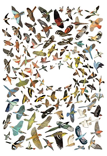 Animal Box: 100 Postcards by 10 Artists (100 postcards of cats, dogs, hens, foxes, lions, tigers and other creatures, 100 designs in a keepsake box)