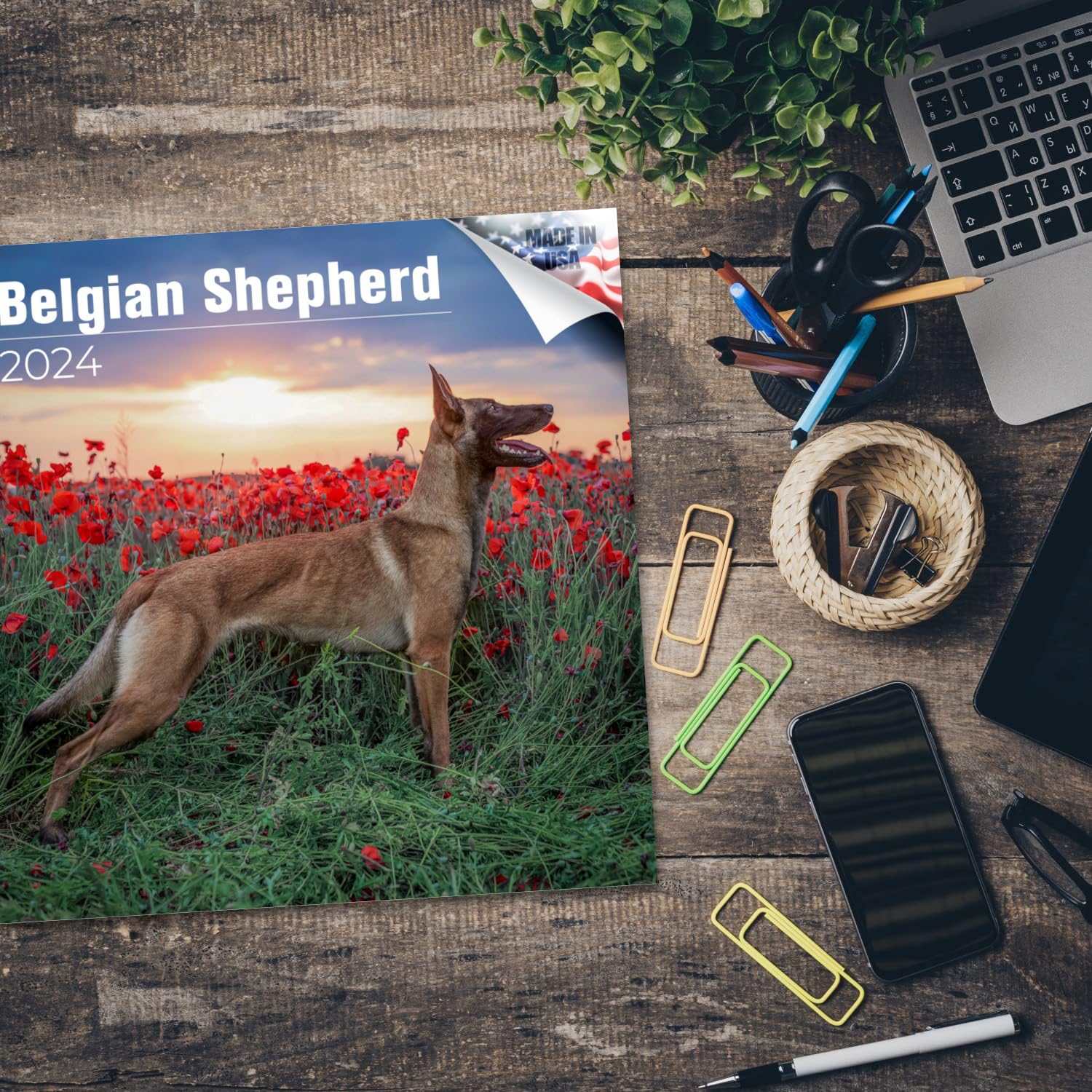 2023 2024 Belgian Shepherd Calendar - Dog Breed Monthly Wall Calendar - 12 x 24 Open - Thick No-Bleed Paper - Giftable - Academic Teacher's Planner Calendar Organizing & Planning - Made in USA