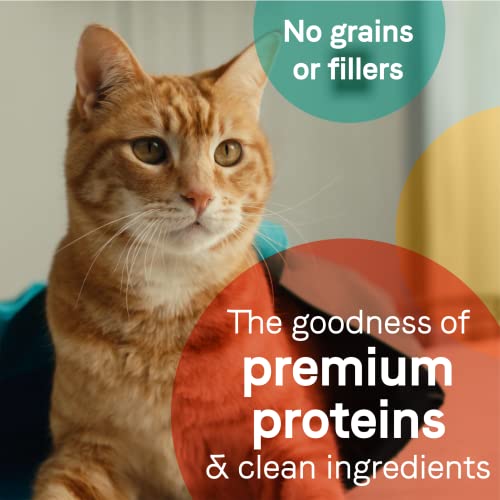 Canidae Adore Premium Wet Cat Food, Morsels with Salmon and Whitefish in Broth, 2.46 Ounce (Pack of 24), Grain Free