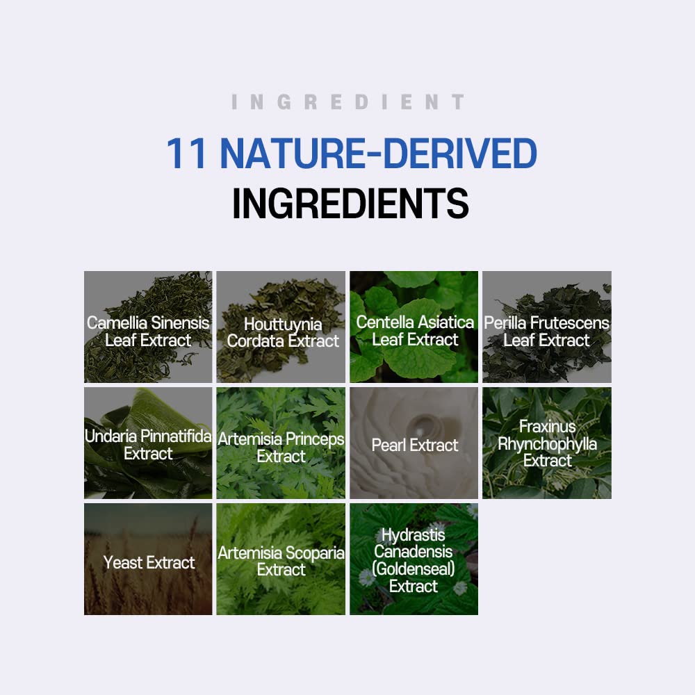 New TS Cool Shampoo for Scalp and Hair (16.9 Fl Oz) | Therapy Shampoo | Mint Scent with Essential Oil & Natural Ingredients | Parabens free | Anti- Dandruff & Cooling Shampoo| Made in Korea