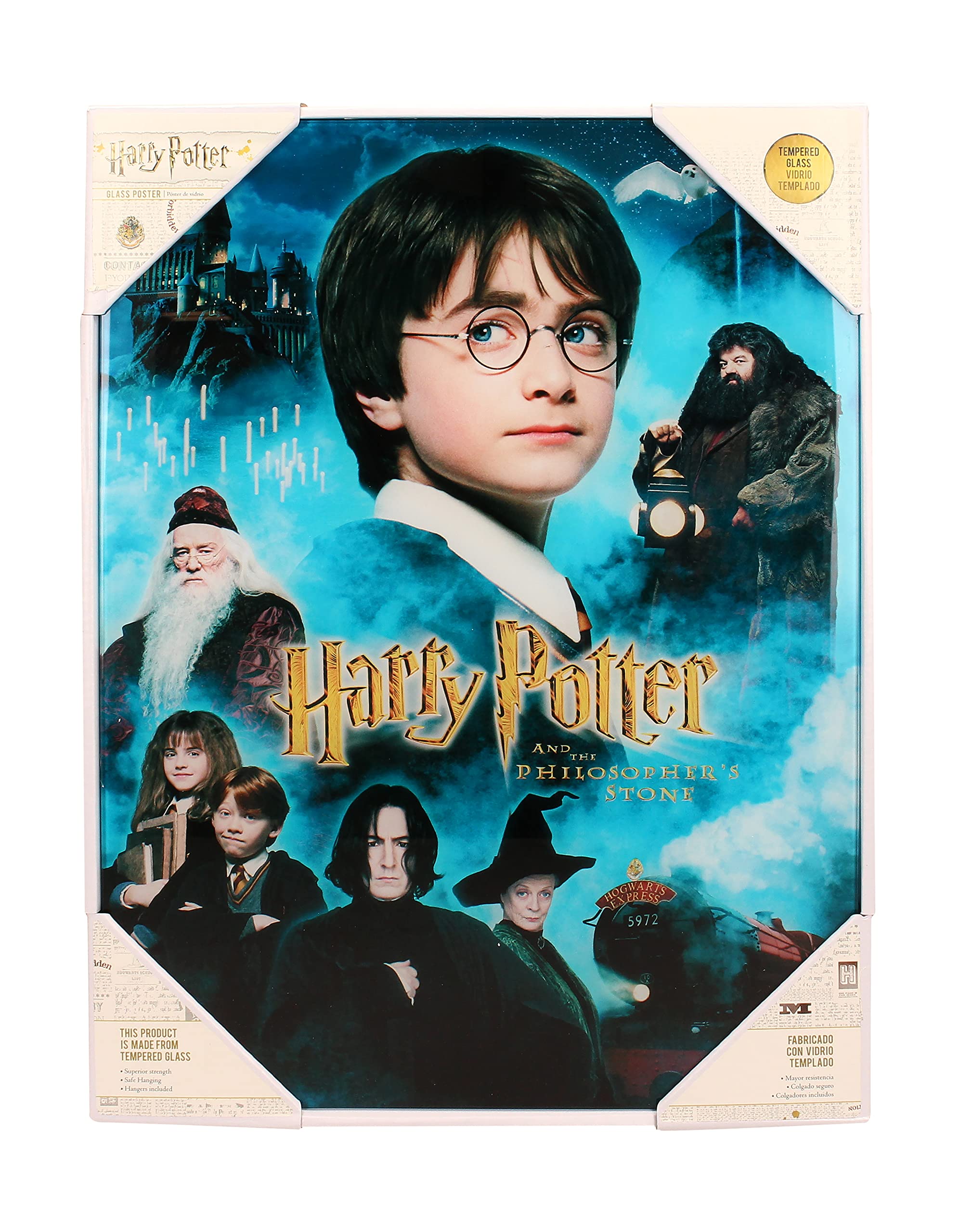 Harry Potter - Impression en Verre - Philosopher's Stone - 30X40 Cm