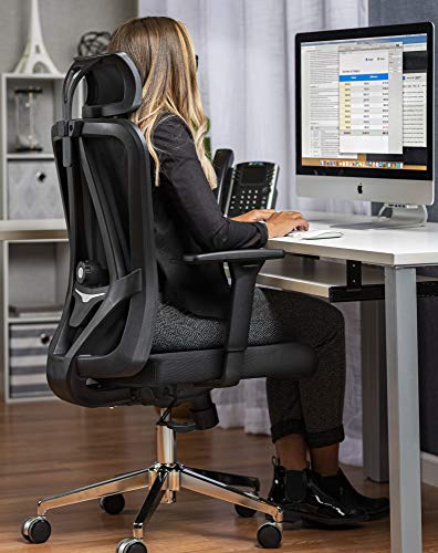 Halter Ergonomic Office Chair with Lumbar Support, Executive Mesh Desk Chair Computer Chair with Swivel, Headrest, and Armrests, Height Adjustable Comfortable Task Chair with Rolling Casters, Black