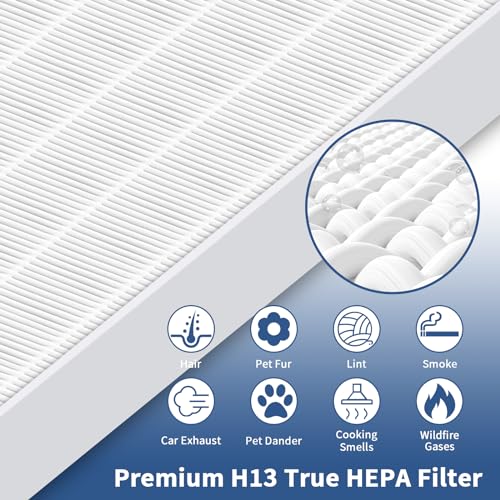 2 Pack C545 True HEPA Replacement Filter S Compatible with Winix C545, B151, P150, 9300 Air Purifier Replacement for Winix S Filter Part 1712-0096-00 and 2522-0058-00