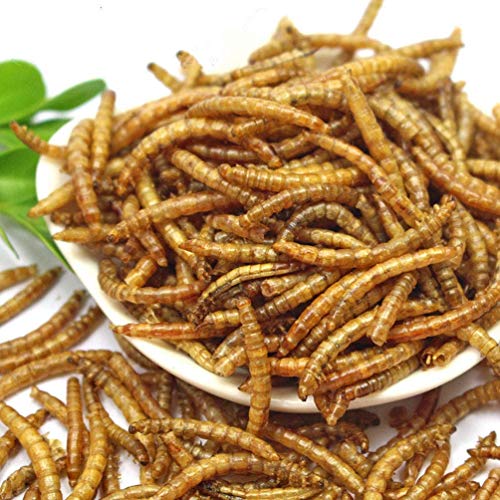 HANDPOINT 11 lbs Dried Mealworms, 100% Non-GMO Natural High-Protein,Treats for Chicken, Fish, Bird Food(11LB)