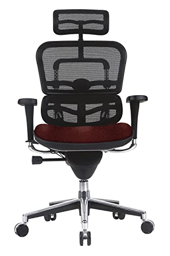 Tempur PedicĀ® Eurotech Ergo High Back-Mesh Executive Chair Burgundy