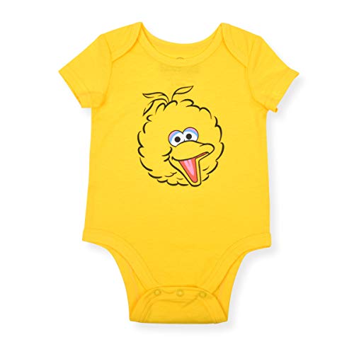 Sesame Street Baby Boys 5 Pack Short Sleeve Bodysuit for Newborn and Infants