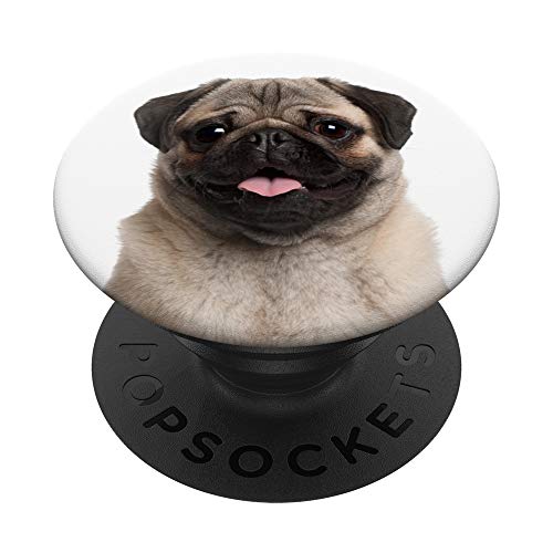 Cute Pug Face With Tongue Out On White Background PopSockets PopGrip: Swappable Grip for Phones & Tablets