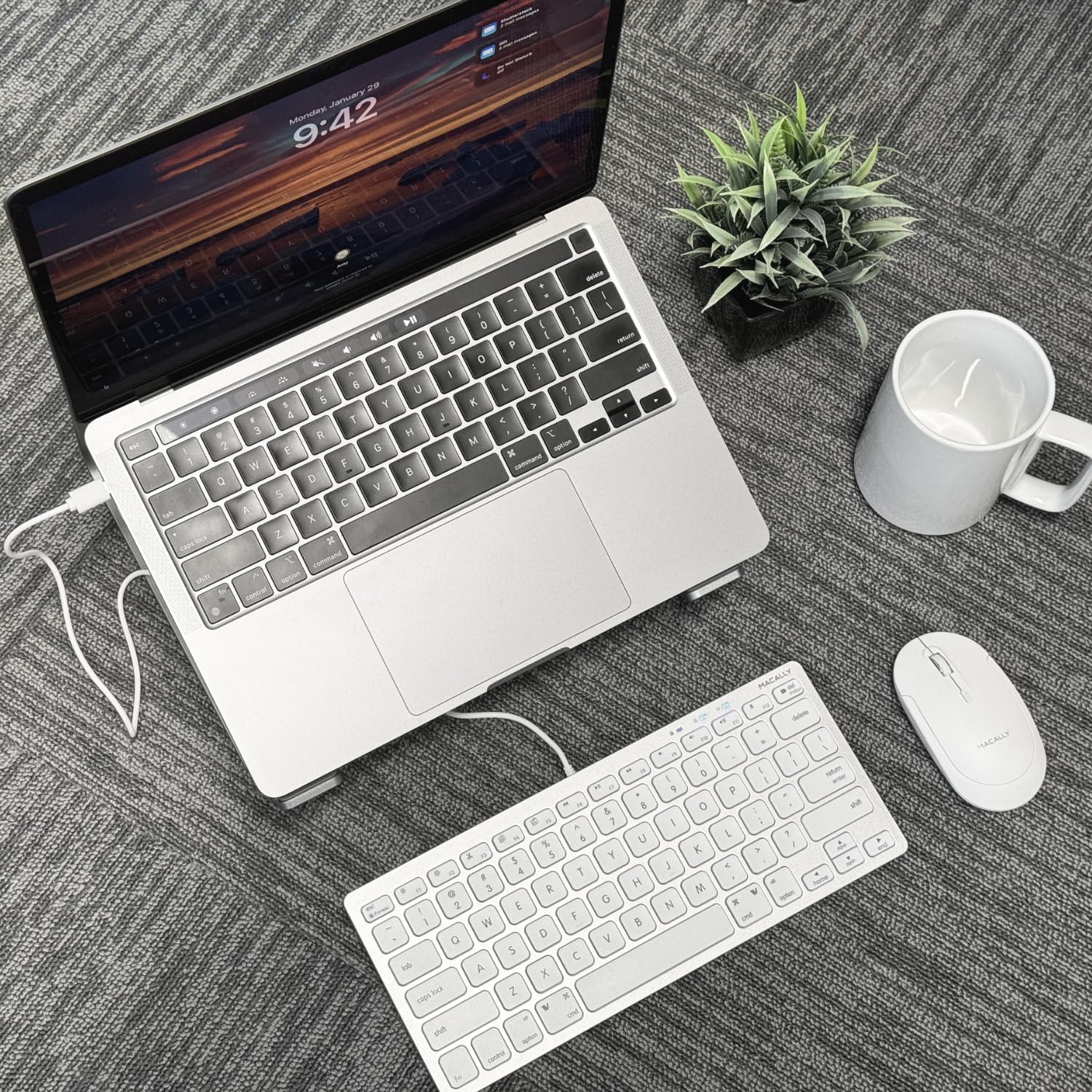 Macally Small USB C Keyboard - Plug & Play Compatible Wired Apple Keyboard for Mac Mini, MacBook Pro/Air, iMac, iPad, Windows, Chromebook with USBC Port - Compact & Mini USB Type C Keyboard - Silver