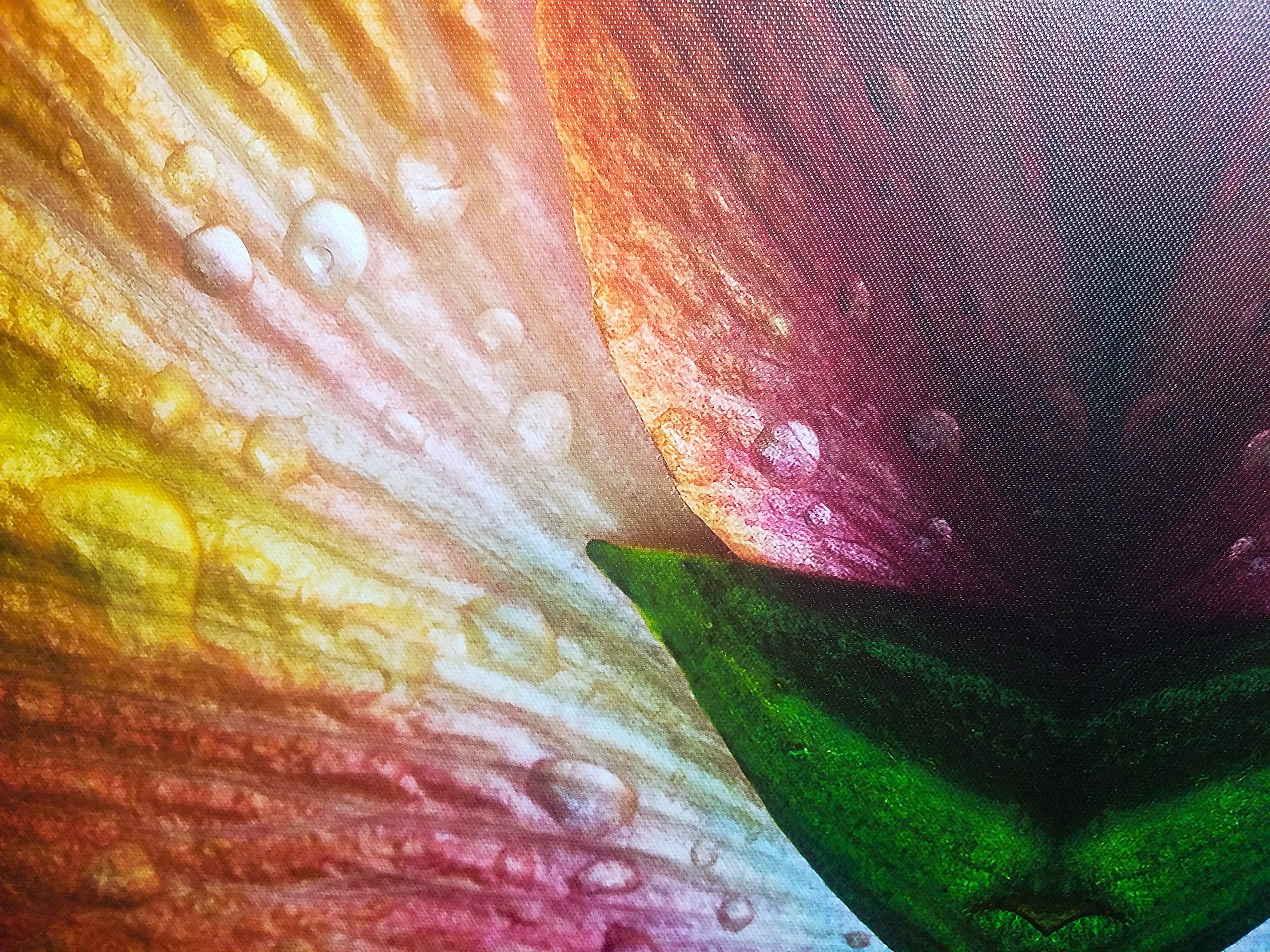5" X 7" Canvas Textured Premium Inkjet Photo Paper - 50 Sheets