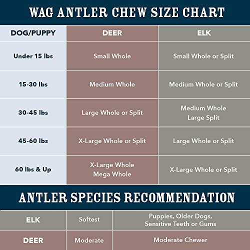 Amazon Brand – Wag Split Elk Antler, Naturally Shed, Medium 6–7.5 inches