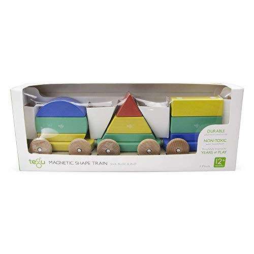 9 Piece Tegu Magnetic Shape Train Building Block Set, Rainbow