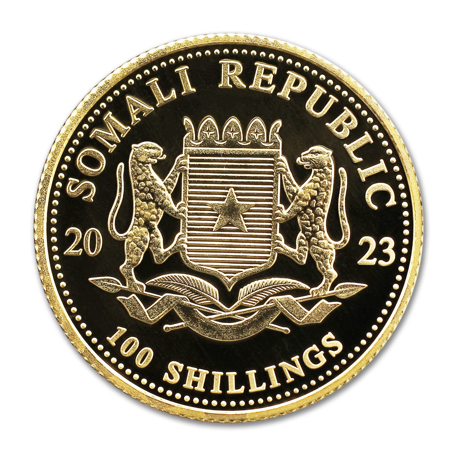2023 1/10 oz Somalian Gold Elephant - African Wildlife Coin Brilliant Uncirculated 24K 100 Shillings BU