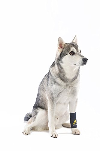 AGONĀ® Dog Canine Front Leg Brace Paw Compression Wraps with Protects Wounds Brace Heals and Prevents Injuries and Sprains Helps with Loss of Stability Caused by Arthritis (Small/Medium)