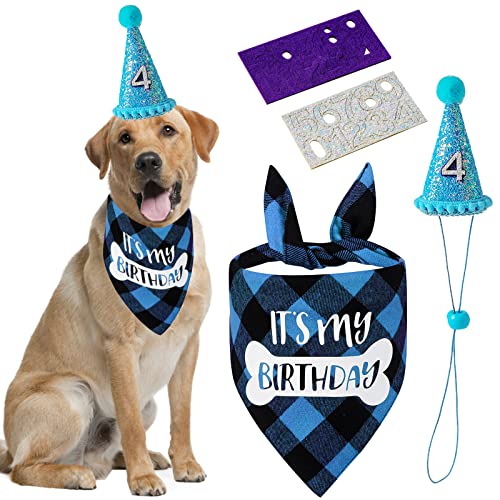 AIITLE Dog Birthday Bandana, Plaid Scarf and Reusable Dog Boy Birthday Party Hat with Number, Small Medium Dog Cat Pet Birthday Party Supplies Blue
