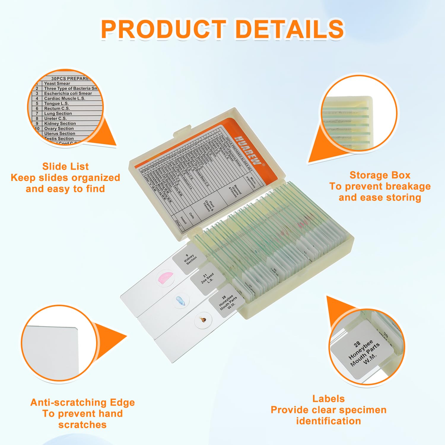 HUAREW 30 Pcs Microscope Slides with Specimens for Kids, Glass Prepared Slides Set for Microscope Accessories, Biology Gifts and Basic Science for Kid Education