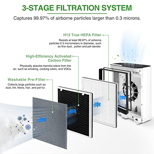 2 Pack Vital 100 True HEPA Replacement Filter Compatible with LEVOIT Vital 100 Air Purifier, 3-in-1 H13 Ture HEPA and High-Efficiency Activated Carbon Filters, Replace Part # Vital 100-RF