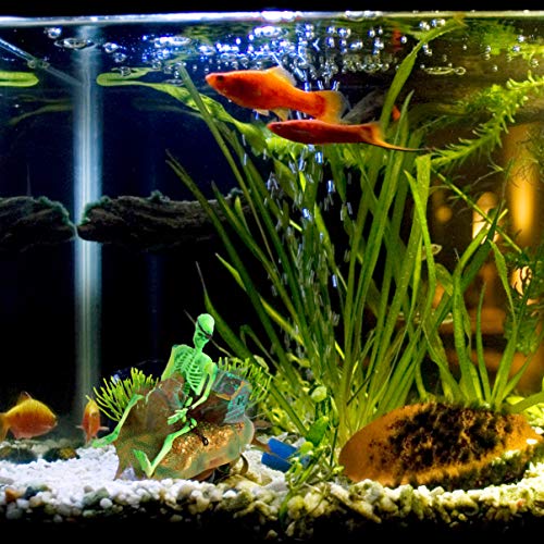POPETPOP Aquarium Ornament Pirate Skeleton Decoration Skull Fish Tank Decor Cave for Hiding Betta Fish Accessories