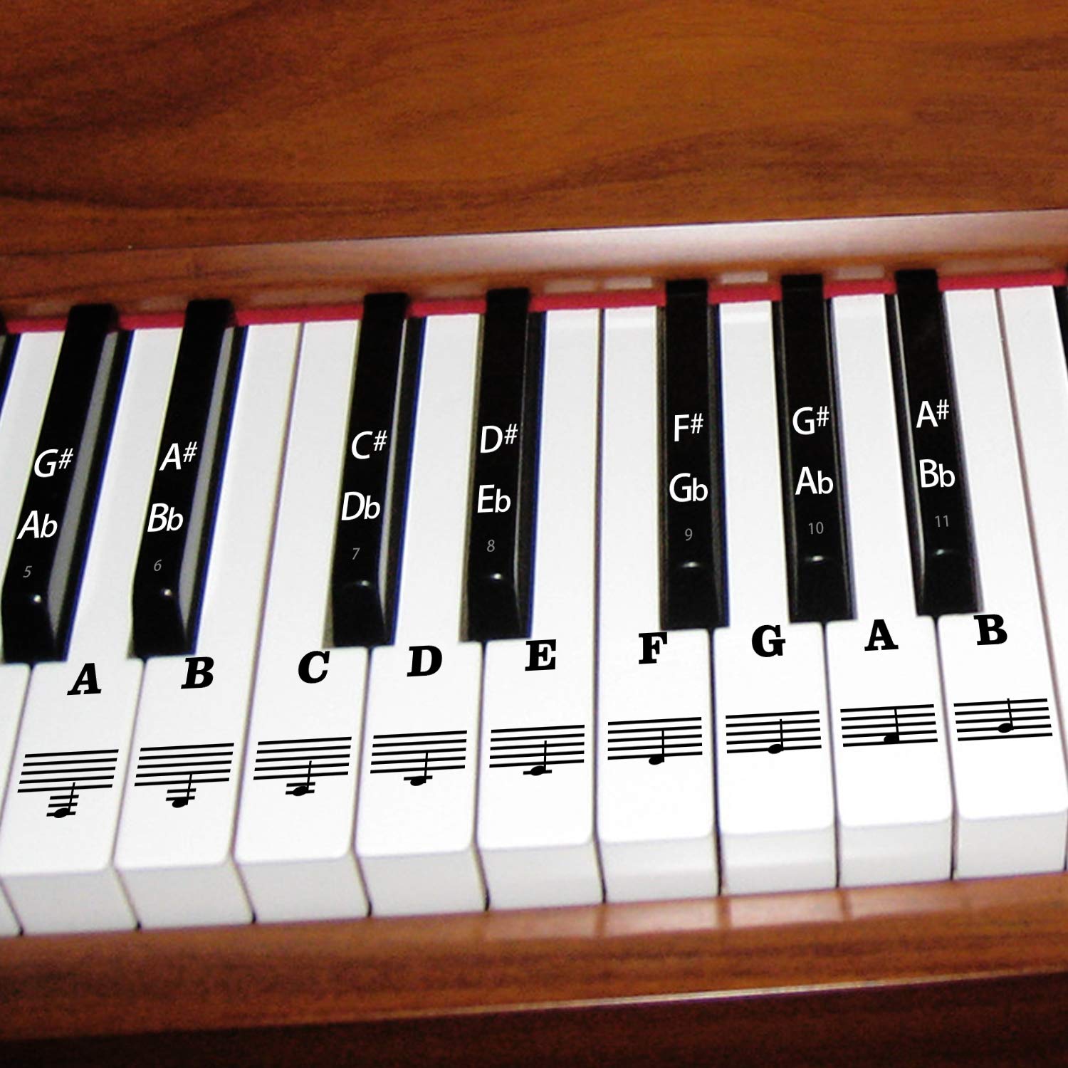 AIEX Piano Keyboard Music Note Full Set Stickers Removable & Transparent for White & Black 88/61/54/49 Keys
