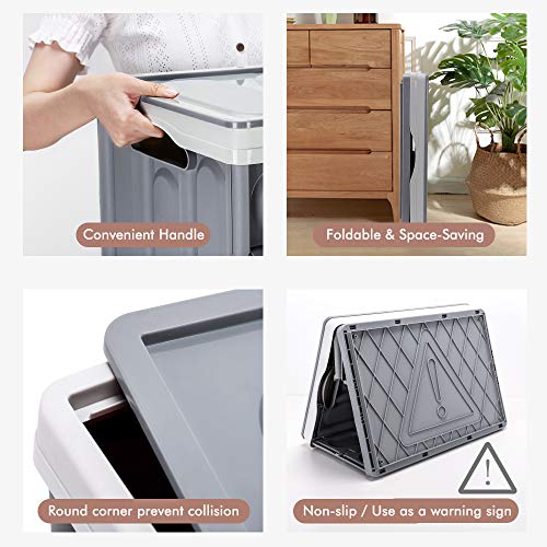 Homde Pack of 2 Storage Bins with Lids Collapsible Plastic Crates Storage Container Gray Box with Handle for Shoes, Clothes, Toy, Books and Grocery (Large)