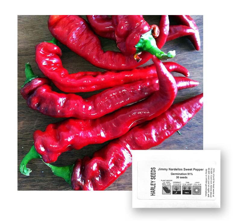 30+ Italian Jimmy Nardello's Sweet 12" Long Pepper Seeds, Heirloom Non-GMO, Prolific, Juicy, Delicious! from USA