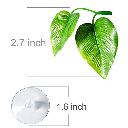 CousDUoBe 2 Pack Betta Fish Leaf Pad Improves Betta's Health by Simulating The Natural Habitat - Natural, Organic, Comfortable Rest Area for Fish Aquarium