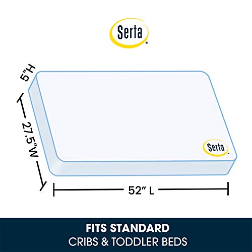 Delta Children Bentley S Series 4-in-1 Crib, Black Cherry Espresso + Serta Perfect Slumber Dual Sided Recycled Fiber Core Crib and Toddler Mattress (Bundle)