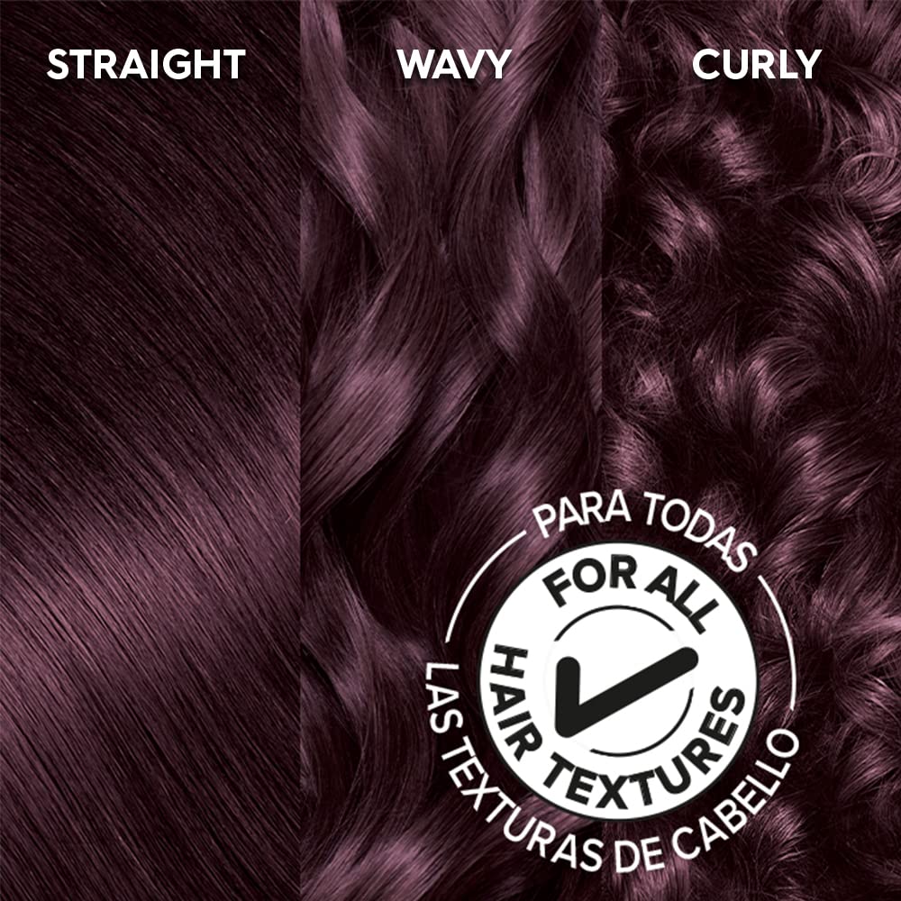 Garnier Hair Color Olia Ammonia-Free Brilliant Color Oil-Rich Permanent Hair Dye, 5.12 Medium Royal Amethyst, 2 Count (Packaging May Vary)