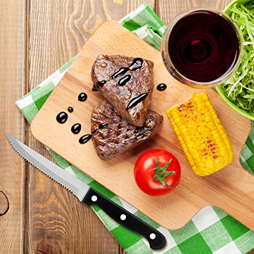 LIANYU Steak Knives Set of 8, Stainless Steel Serrated Steak Knife, kitchen Camping Restaurant Steak Knives, Dishwasher Safe