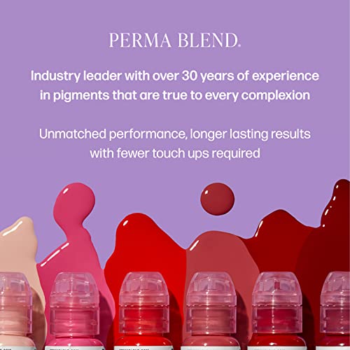 Perma Blend Brow Daddy Eyebrow Tattoo Ink - Schokolade - Brown Microblading Pigment for Permanent Makeup Professionals - Brown Ink for Brow Tattoo, Eyeliner and Lip Blushing - Vegan (0.5 oz)