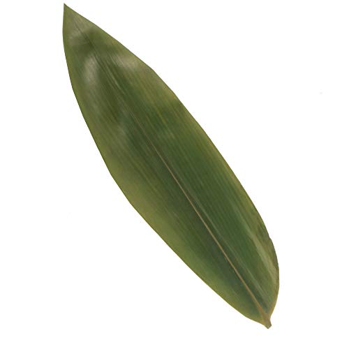 BambooMN Bamboo Leaves for Cooking Zongzi, Banana Leaf Alternative, Grilling/Barbeque, Natural Boiling Bags - 12.25 x 3.5 Inches - 100 pack