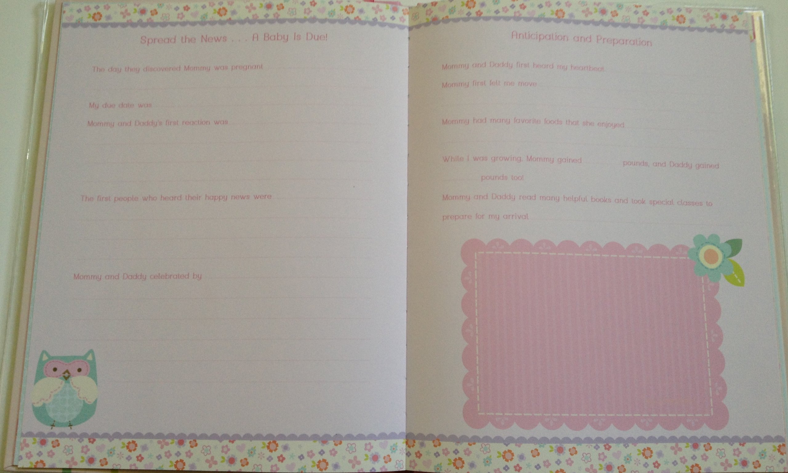 Baby's First Memory Book "Look Whoo's Adorable" Pink W/flowers, Owls, & Bird