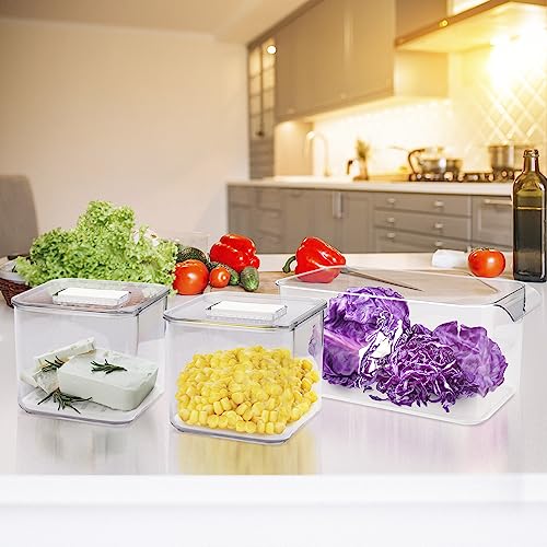 7Penn Produce Storage Containers for Refrigerator 3 Pack with Lids - Stackable Acrylic Fruit and Vegetable Keeper Bins for Fridge - Clear Stay Fresh Cube Produce Saver Set for Lettuce, Berries, Apples