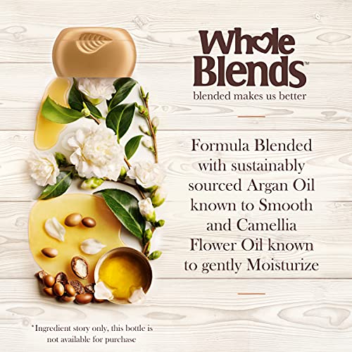 Garnier Whole Blends Moroccan Argan & Camellia Oils Moisturizing Leave-in Conditioner for Dull Hair, 5.1 Fl Oz, 1 Count (Packaging May Vary)