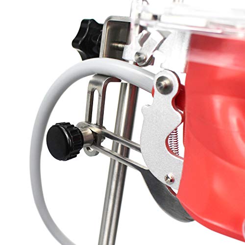 Dental Simulator Manikin Phantom Head Teeth Model Training Bench Mount Fix on Desk