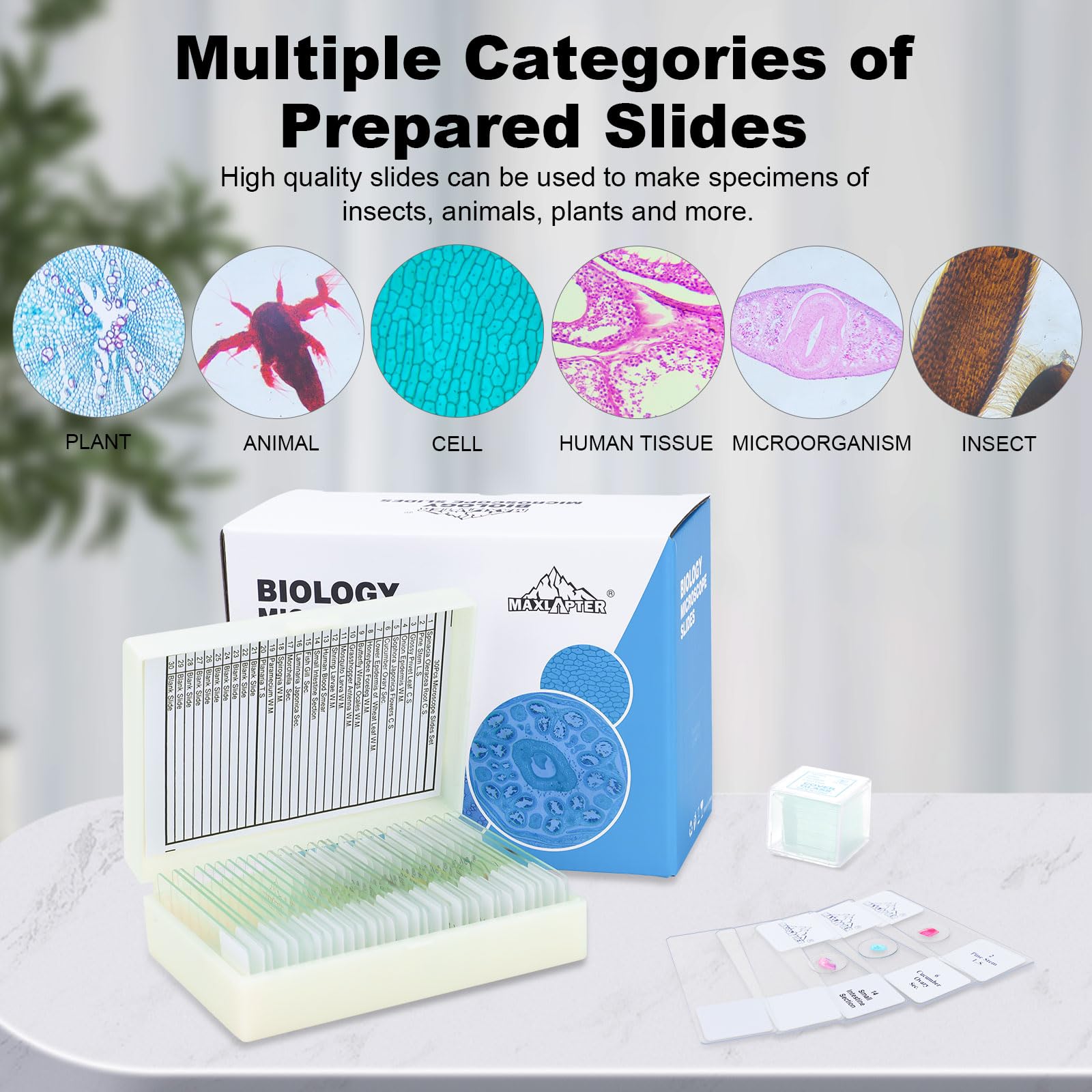 30 Microscope Slides and 100 Covers Set - 20 Prepared Microscope Slides with Specimens, 10 Blank Microscope Slides and 100 Microscope Coverslips - Microscope Slides for Kids Students Homeschool Use