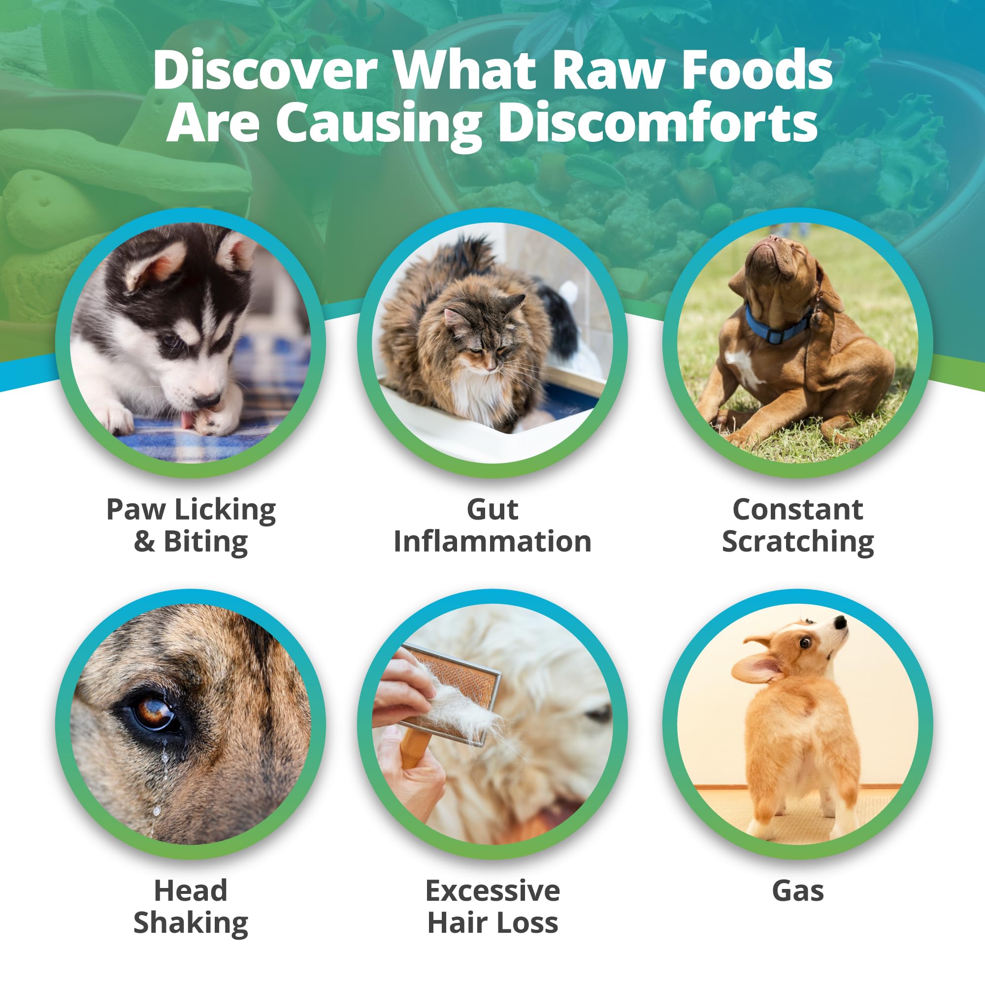 5Strands Pet Raw Food Intolerance Test, at Home Sensitivity Test for Dogs & Cats, 315 Items, Hair Analysis, Accurate for All Ages and Breed, Results in 5 Days - Chicken, Beef, Duck