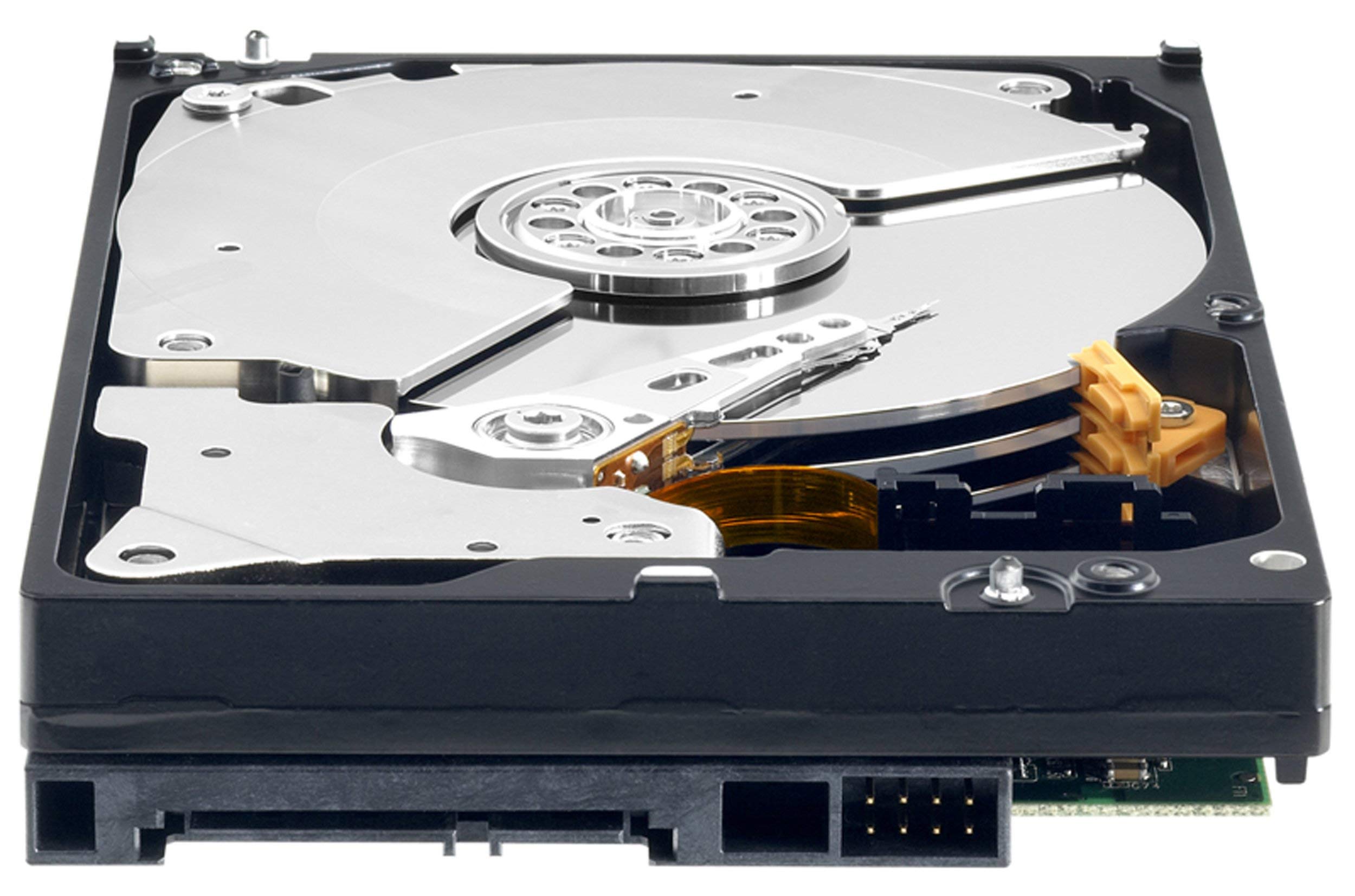 Western Digital 750 GB RE3 SATA 7200 RPM 32 MB Cache Bulk/OEM Enterprise Hard Drive WD7502ABYS (Renewed)