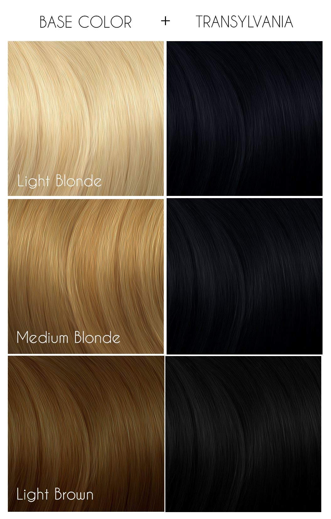 ARCTIC FOX Vegan and Cruelty-Free Semi-Permanent Hair Color Dye (4 Fl Oz, TRANSYLVANIA)