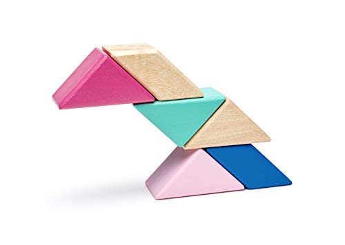 6 Piece Tegu Pocket Pouch Prism Magnetic Wooden Block Set, Blossom