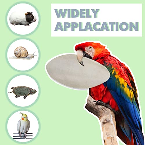 Jmxu's 5"-5.5" Bird Cuttlebone for Parakeets, Cuddle Bone with Metal Holder, Chewing Cuttlefish Bone for Sharp Beaks, Natural Birds Calcium Suitable for Parrots Cockatiels Budgie(6 Pack)