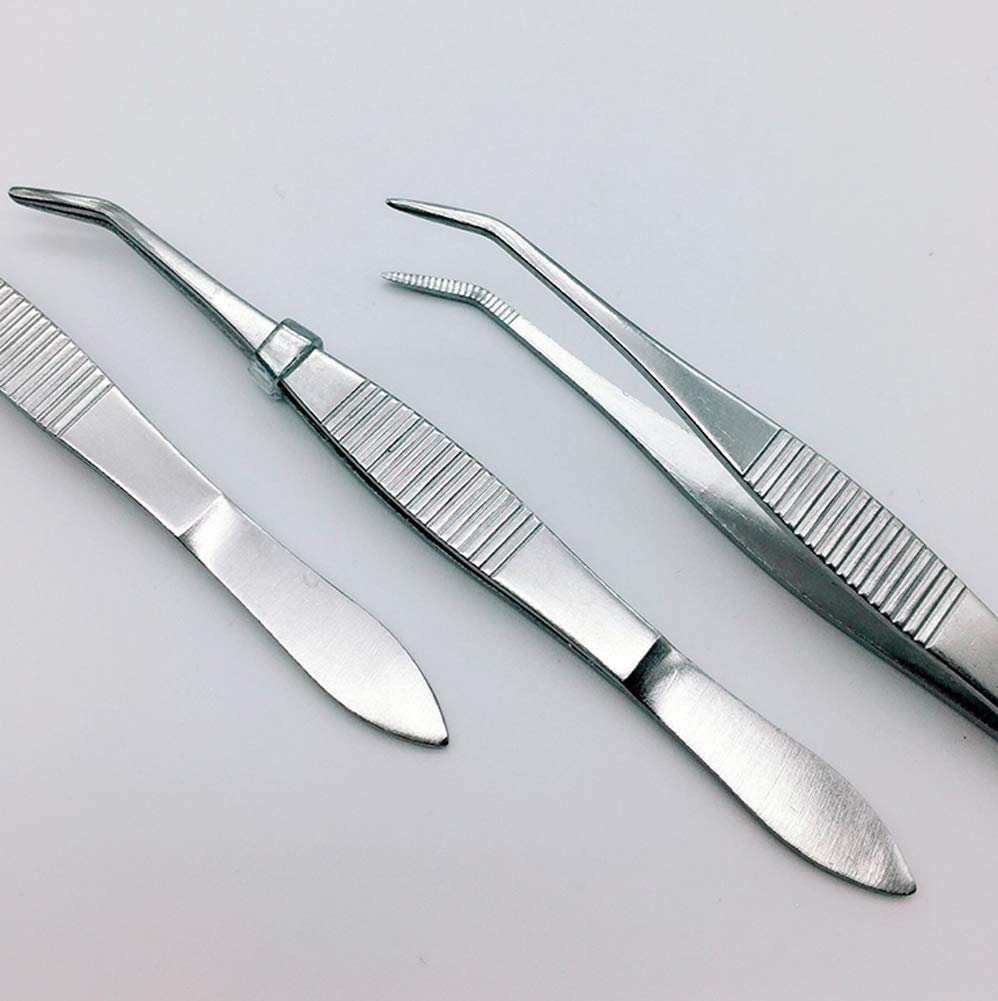 2 PCS 4 Inch Professional Stainless Steel Dental Straight Forceps and Curved Tip Tweezers Multifunction Eyebrow Cosmetic Tools DIY Accessories Extractor Clamp