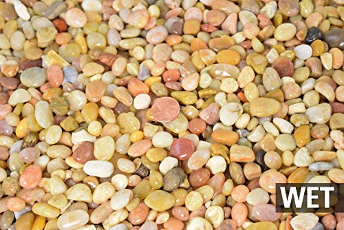 3 Lbs Large Salmon Bay Pebbles for Bonsai Tree Humidity Tray & Lucky Bamboo
