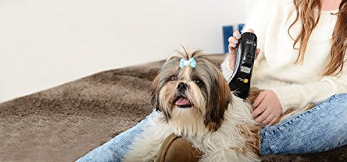 B-Cure Cold Laser Therapy Device for Dogs, Cold Vet Device for Pets & Infrared Light Therapy for Pain Relief, Muscle & Joint Pain, Suitable for Dogs, Cats, Horses and Other Animals