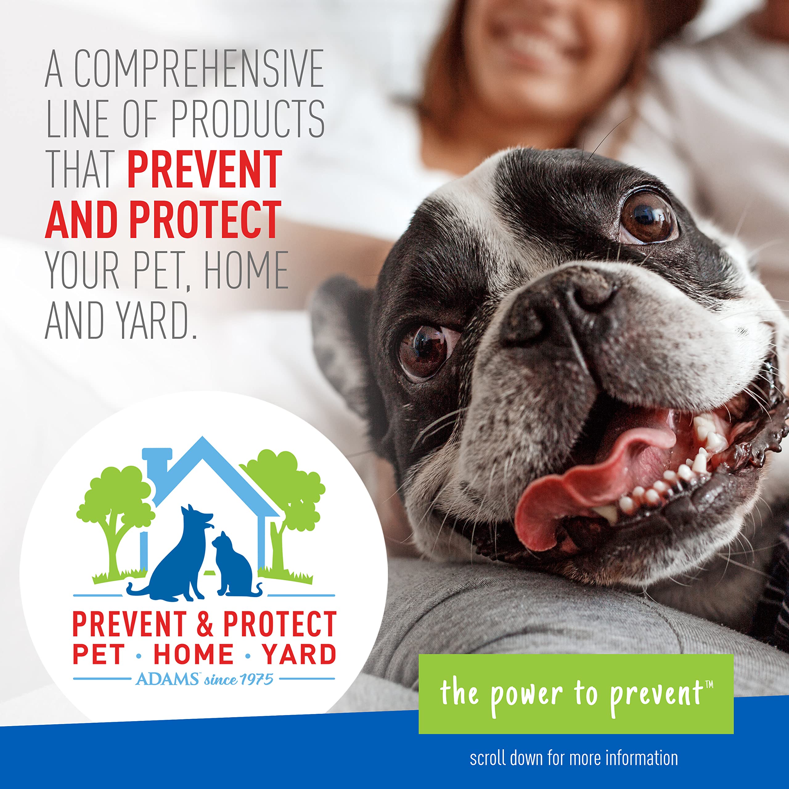 Adams Plus Flea & Tick Carpet Spray, Kills Fleas, Flea Eggs, Flea Larvae, Ticks, Ants, Roaches, Spiders, Waterbugs & Many Other Listed Nuisance Pests In The Carpet, Treats Up to 2,000 Sq Ft, 16 Ounces